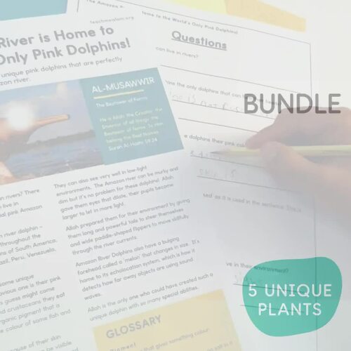 Quranic Plants and Allah's Amazing Animals Reading Bundle by Teach Me Islam