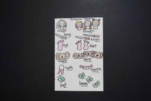 Let's Draw Irregular Plurals! (mouse / mice) by Patty Fernandez Artist