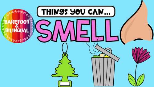 Things You Can Smell Clipart - 5 Senses Clipart - Science Clipart