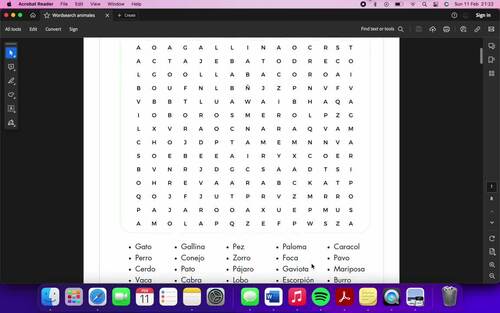 Spanish Animals Word-search and vocabulary activities by Chilean profe