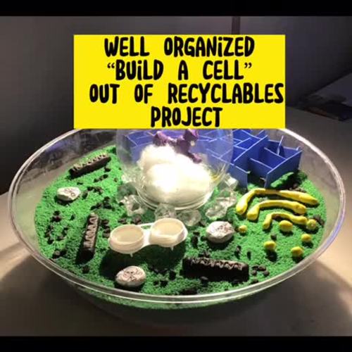 3-D BUILD A CELL PROJECT with Instructions, Check-Ins and Structured ...