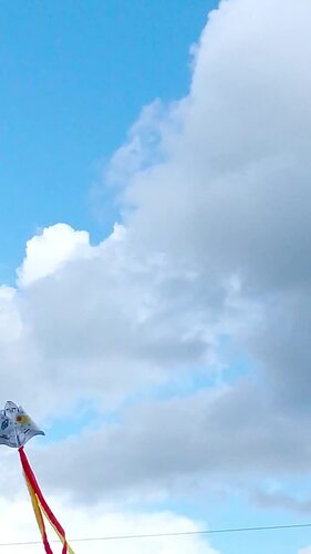 Rocket Kite - DIY Stem/Steam by WOW - World of Wonders | TPT