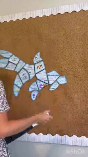 EDITABLE│Fish Bulletin Board Display Collaborative Coloring Poster ...