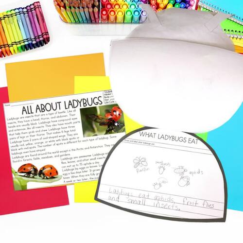Ladybugs Nonfiction Reading Informative Writing All About Ladybugs