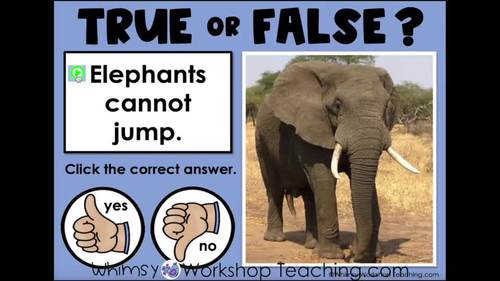 Boom Cards True False Nonfiction Animal Facts Elephants Science | TpT