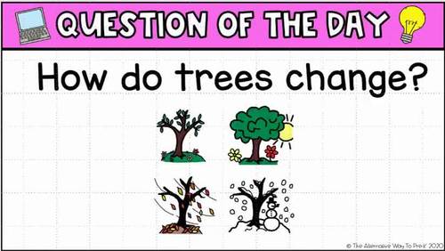 Trees Study Creative Curriculum Question Slides by The Alternative Way ...