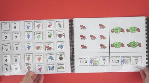 How Many, What Color, What? Rainforest, Interactive Book, Describing ...