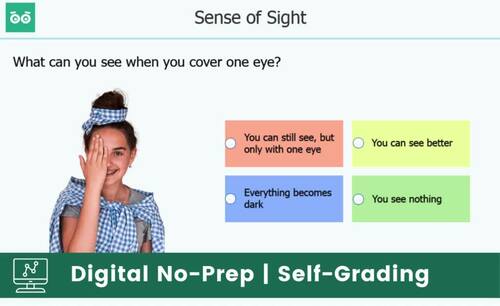 Sense of Sight Preschool PreK Science Centers Five Senses All About Me Unit