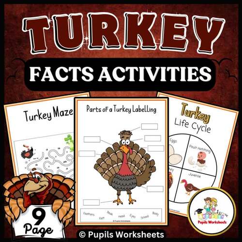 Turkey Life Cycle and No prep Worksheets - Thanksgiving Facts Activities