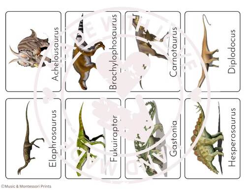 Dinosaurs from A-Z /Montessori 3 Part Cards/Info Cards/Dino Sorting ...