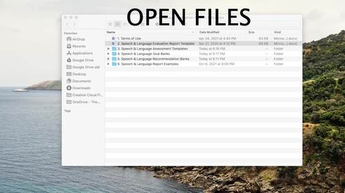 Speech and Language Evaluation Report Templates BUNDLE Preschool-School Age