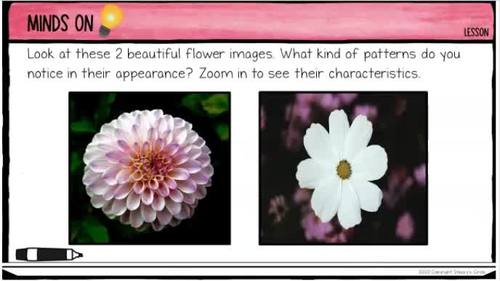 Grade 6 Patterning Unit 2020 Ontario Math- DIGITAL Google Slides :Algebra