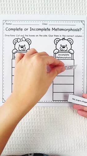 Complete and Incomplete Metamorphosis – Cut and Paste Sorting Activity