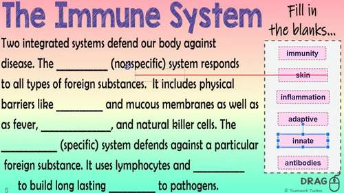 IMMUNE SYSTEM ~ Interactive Digital Resource for Google Drive~ Anatomy