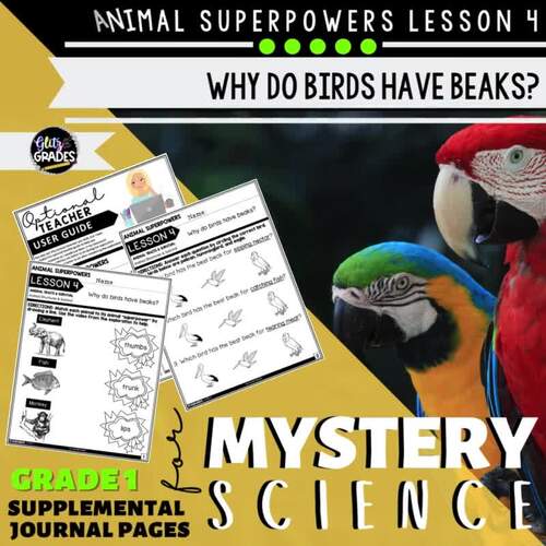 Mystery Science 1st Grade SUPPLEMENT Animal Superpowers Lesson 4 Structures