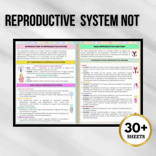 Reproductive System Notes Fully Hyperlinked 30+ Sheets | Study Guide ...