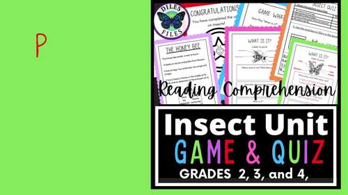 Insect Booklet- Grades 2-3-4 by Diles Files | TPT