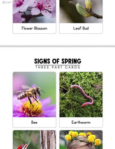Spring Nomenclature Cards, Three Part Cards, Flash Cards, Spring Activities