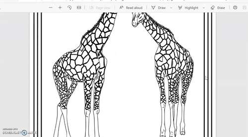 Stage 2 Mathematics Assessment NSW Syllabus (2012) Outcomes with Answers