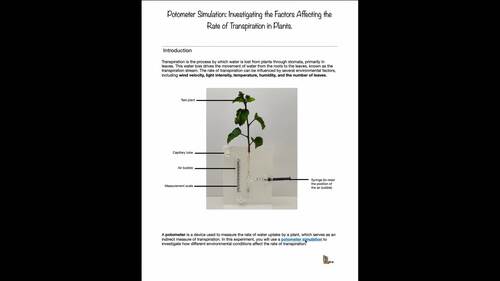 Potometer Simulation – Interactive Virtual Experiment for Biology ...
