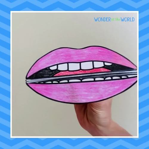 Digestive system sequence and fold science craft activity digestion cut ...