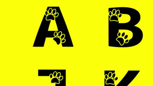 Dog Paw Print Cute Fonts For Signs, Boards And School Stationery
