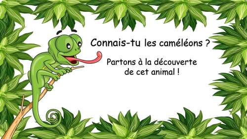 Diaporama - Le français collé à la langue by Creations Bonheur | TPT