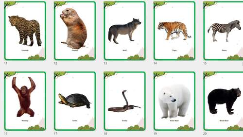 Flash cards. Template. 40 printable cards - My favorite animal | TPT