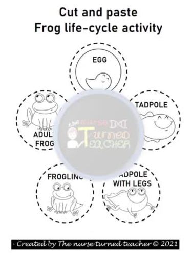 Frog life cycle b&w poster (cut and paste activity) by the nurse turned ...