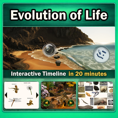 Evolution of Life on Earth – Interactive Timeline & Fossil Activities