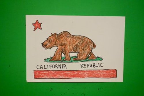 Let's Draw the CA State Flag! by Patty Fernandez Artist | TPT