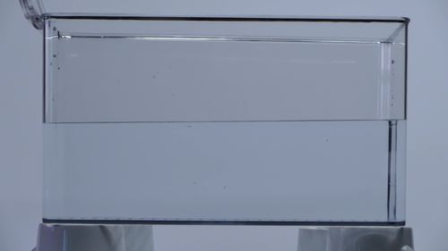 Utah SEEd 6.3 Bundle Save 20% by Lynda R Williams | TpT