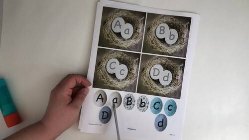 Montessori Preschool/Kindergarten ABC Bird Nest Egg Matching Printable ...