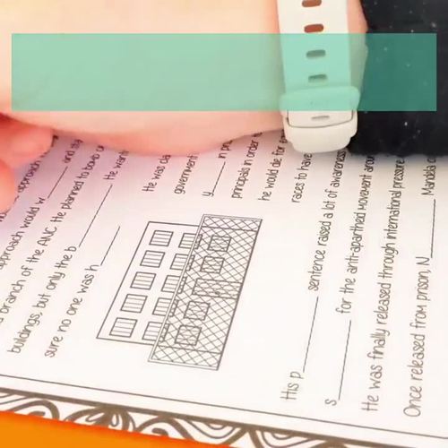 Nelson Mandela Lesson by The Ginger Teacher | TPT