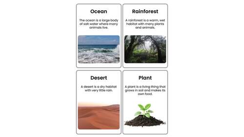 Living Things and Their Habitats Key Vocabulary Flashcards | Year 2 Science