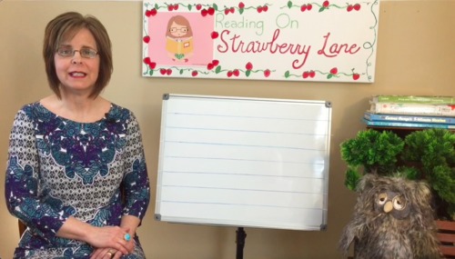 VIDEO: Reading: Set 1. Lesson 25. Word Family Pattern -ent | TPT