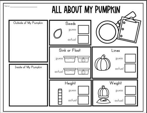 Preschool Pumpkin Investigation by Little Legacy Learning Co | TPT