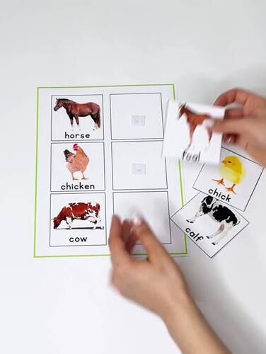 Farm Zoo Ocean Animals Worksheets Activities Vocabulary Cards Special ...