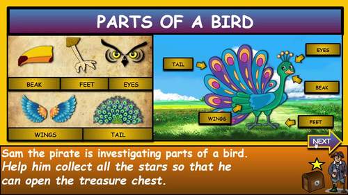 Parts of a bird: Interactive Google Slides + PPT+ 3 Worksheets | TPT