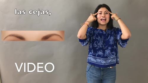 Spanish Body and Health El cuerpo y la salud Lesson Plans and ...