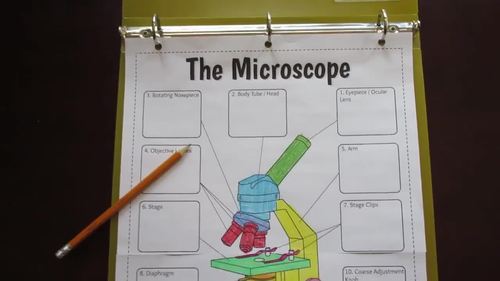 Microscope Foldable - Big Foldable for Interactive Notebooks or Binders