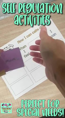 Self-regulation check in pack for all ages and special needs | TPT