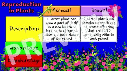 Plant Reproduction and Flower Structure & Function Animated PowerPoint ...