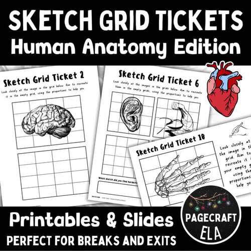Art Sketch Grid Activity Printables with 20 Human Anatomy Reference Images