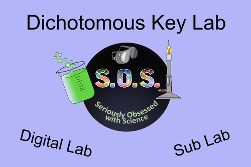 Using a Dichotomous Key Virtual Lab - Sub Lab - Digital Lab | TPT