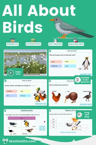 All About Birds Kindergarten & 1st Grade Interactive Science Unit and ...