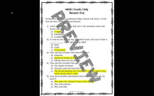 White Socks Only | Book Companion | Writing and Comprehension | TPT