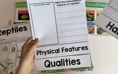 Amphibians and Reptiles - Animal Classification Science and Writing