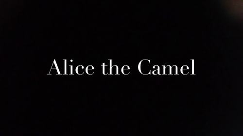 Sally the Camel / Alice the Camel by EasyBreezyESL | TPT