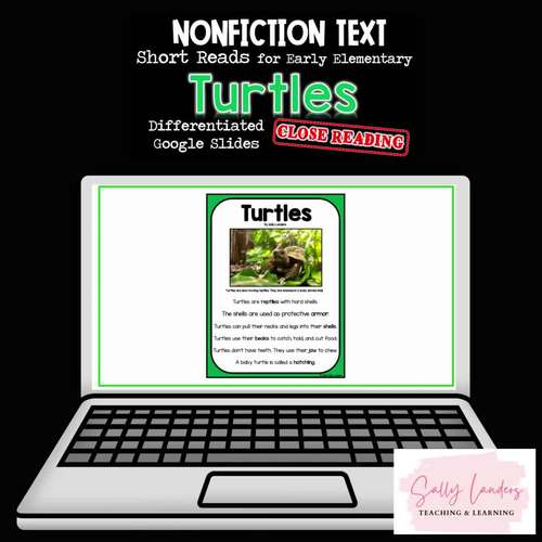 TURTLES Nonfiction CLOSE READING Print & Digital Pack by Sally Landers